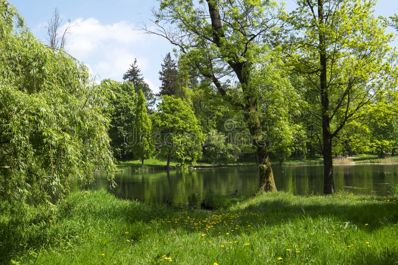 The Pond in the Park at Sunset Stock Photo - Image of nature, summer ...