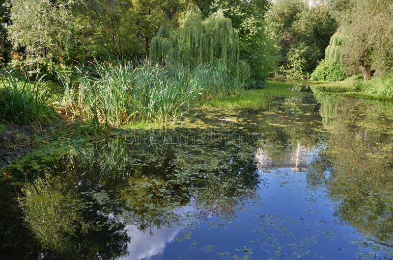 Pond in park stock photo. Image of serenity, landscape - 90032712
