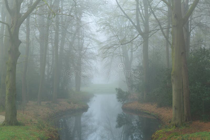 147 Horror Pond Dark Fairy Tale Forest Stock Photos - Free & Royalty ...