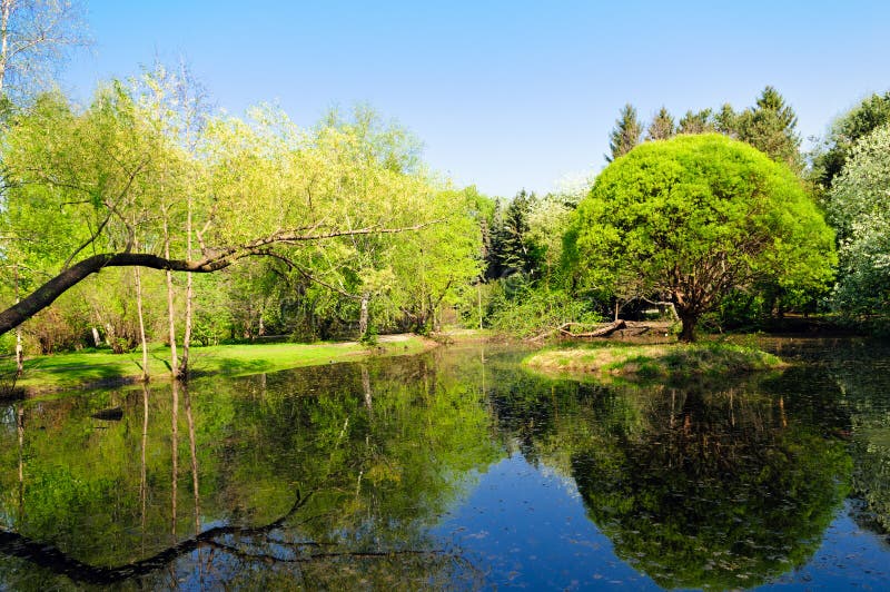 Pond in park landscape stock photo. Image of cypresses - 33498360