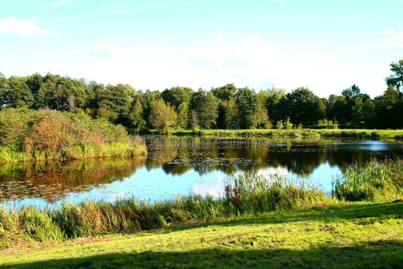 The Pond in the Park at Sunset Stock Photo - Image of nature, summer ...