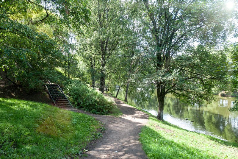 Pond in the park stock photo. Image of nature, lake - 229613430