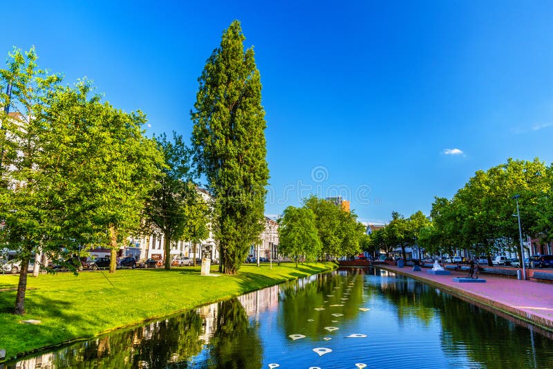 Pond in a park - Rotterdam stock image. Image of nature - 61841461