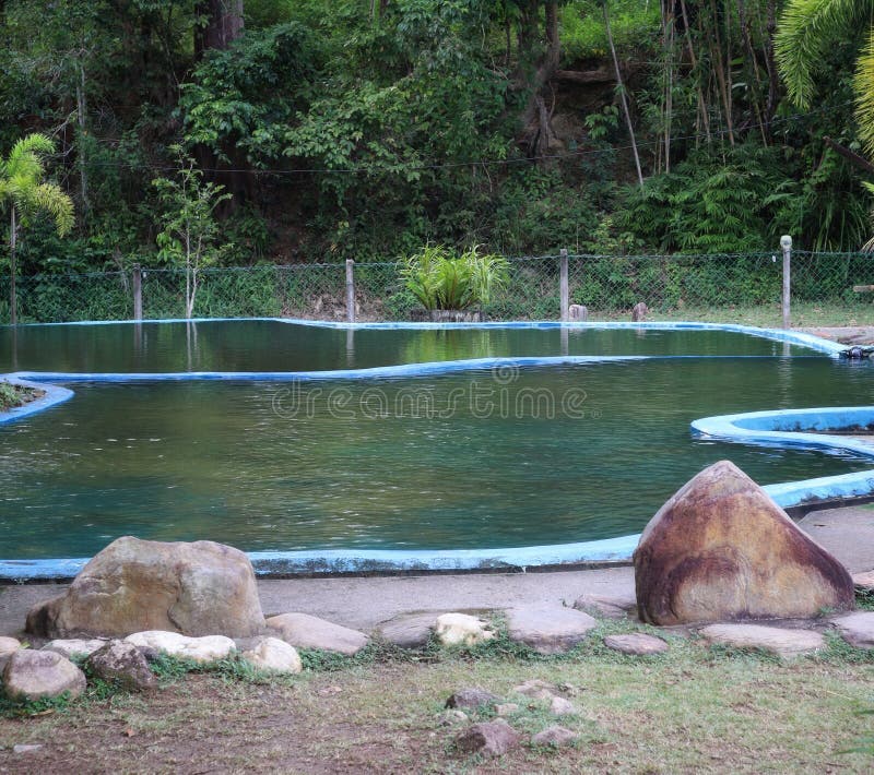A pond in the park stock image. Image of park, children - 237770817