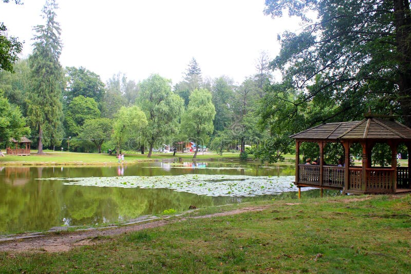 Pond in park stock image. Image of lotus, outdoors, rural - 43745119