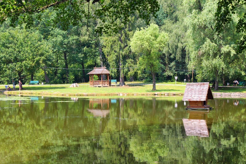 Pond in park stock photo. Image of landscape, grass, foliage - 43745272
