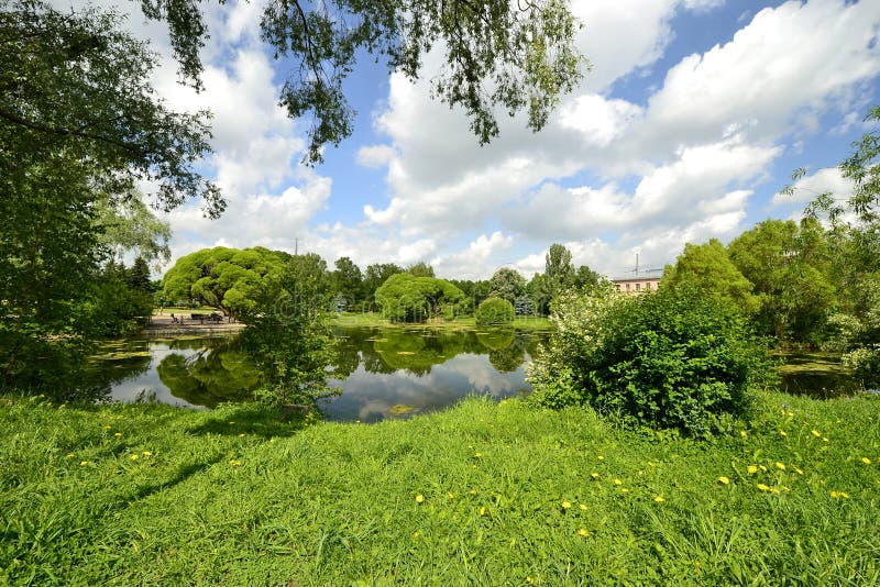 Pond in the Park stock photo. Image of tree, green, lake - 140541648