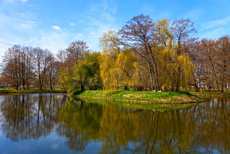 Pond in the park stock image. Image of forest, poland - 30767453