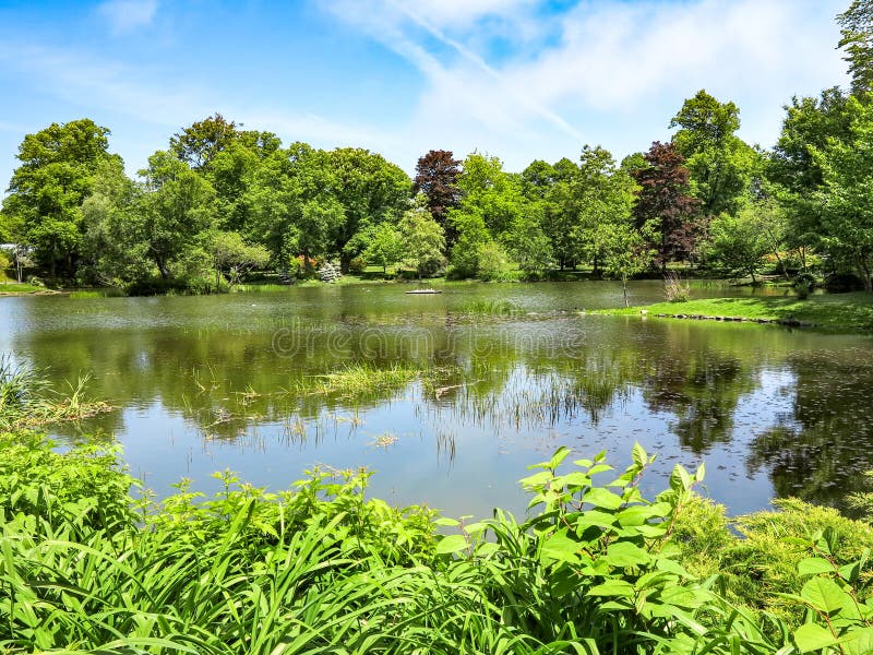 Pond in a Park stock image. Image of tranquility, beauty - 131457765