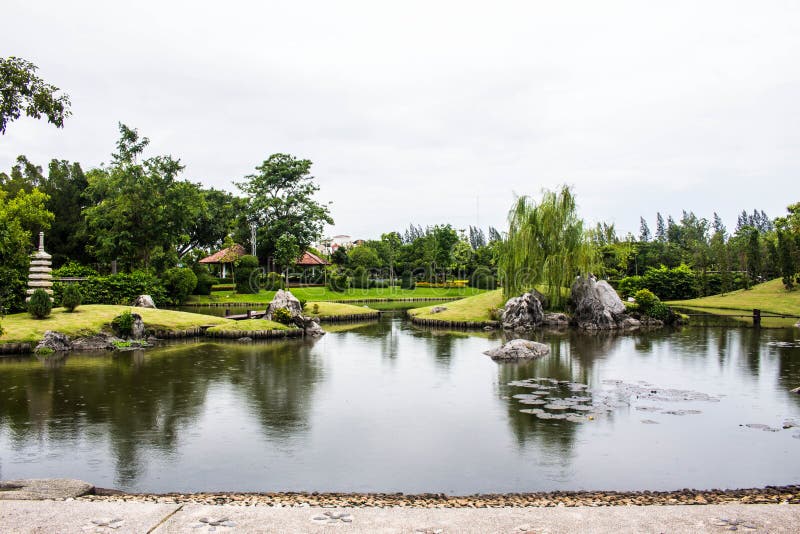 Pond in park stock photo. Image of lake, cultivated, exterior - 44259200