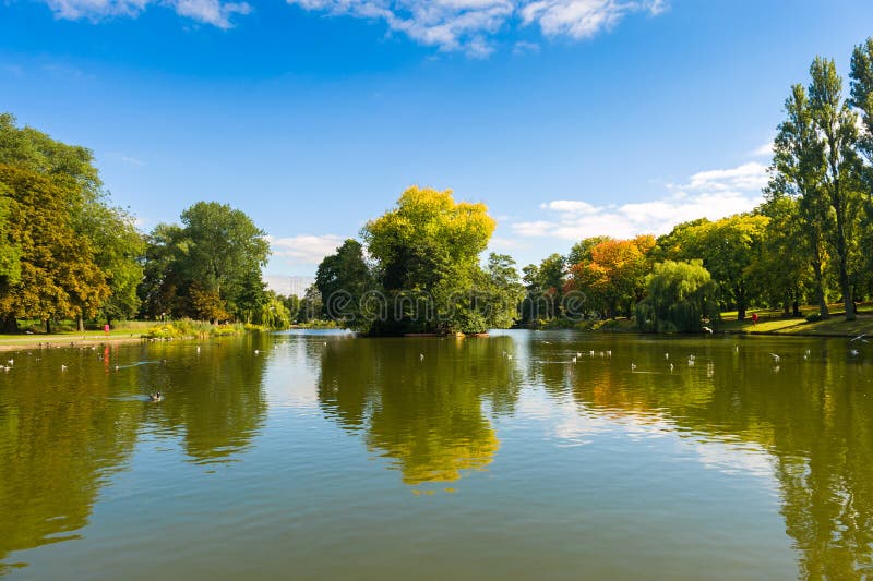 Pond in the Park stock image. Image of outside, pond, grass - 4969