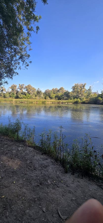 Pond in the Park Where I Walk Stock Image - Image of nature, landscape ...