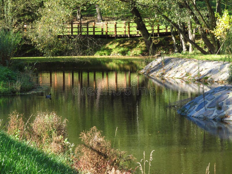 Pond in the park stock image. Image of catwalk, lake - 45818039