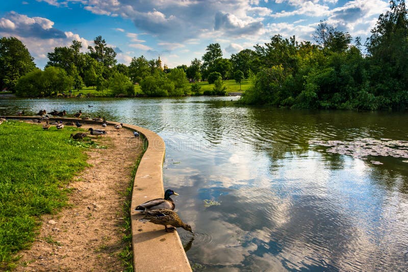 The Pond at Patterson Park in Baltimore, Maryland. Stock Image - Image ...
