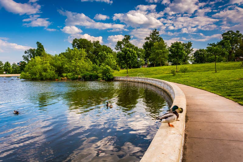 The Pond at Patterson Park in Baltimore, Maryland. Stock Image - Image ...
