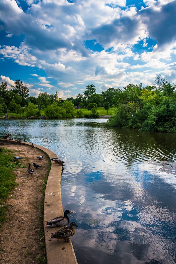 The Pond at Patterson Park in Baltimore, Maryland. Stock Photo - Image ...