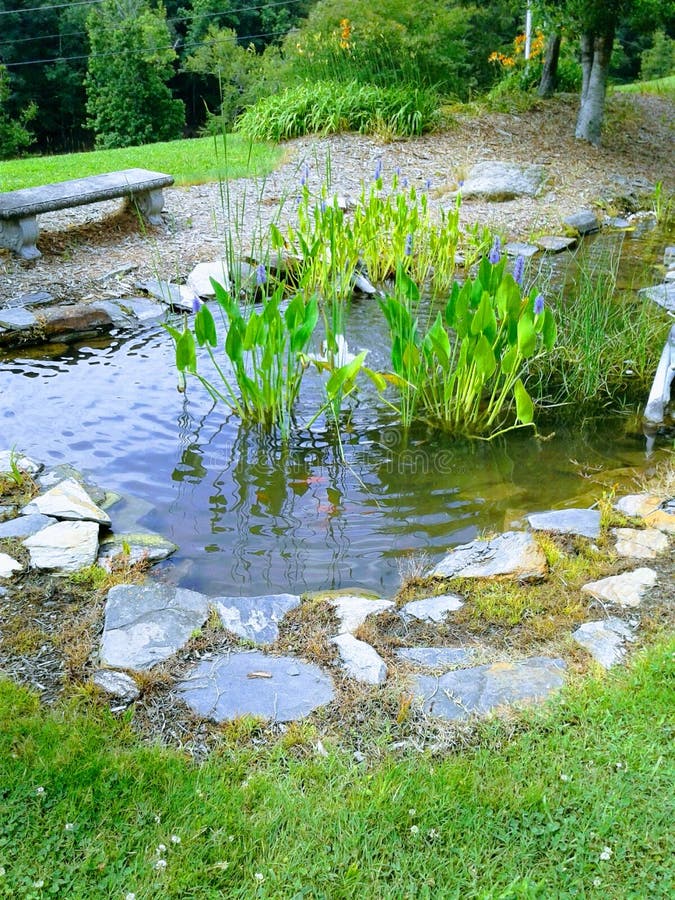 Pond Pretty Rocks Bench Trees Stock Photo - Image of pretty, bench ...