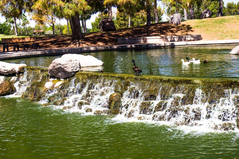 Pond in Public Park with Ducks & Waterfall Stock Photo - Image of ...