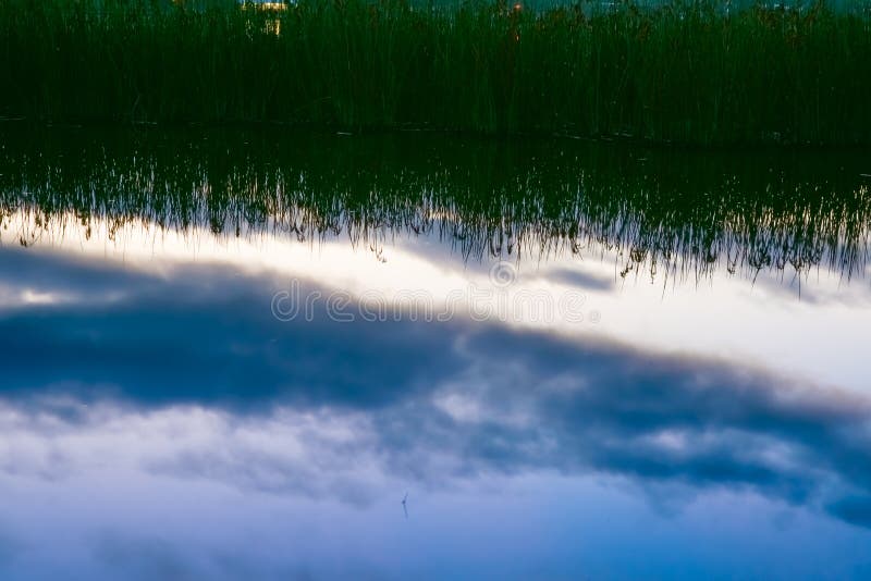 Pond Reflecting Reeds in Calm Water at Dusk Stock Image - Image of ...