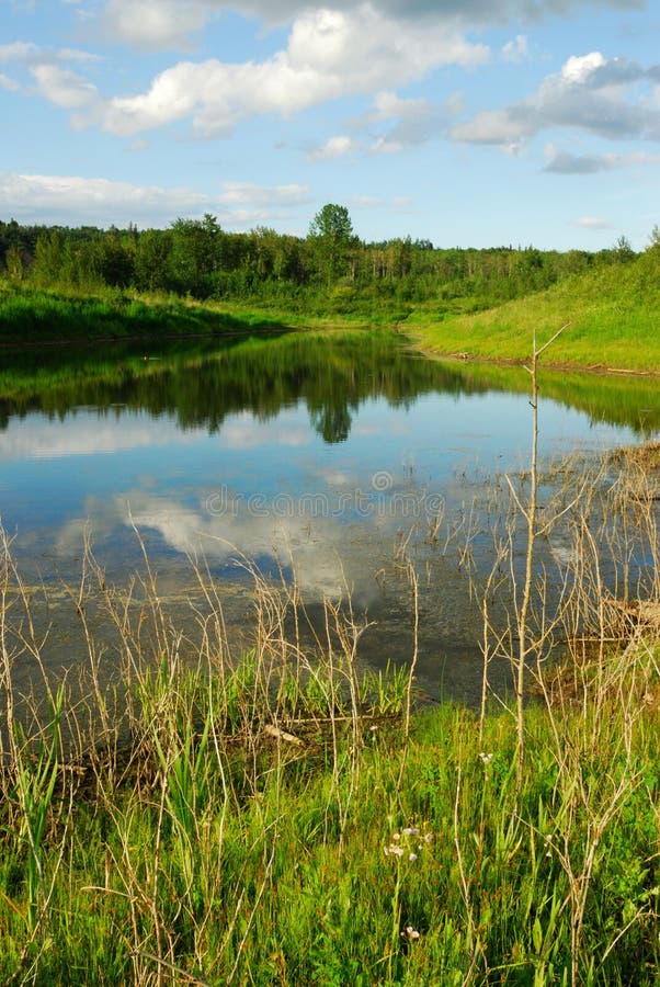 Pond reflection stock image. Image of outdoor, view, nature - 4462971