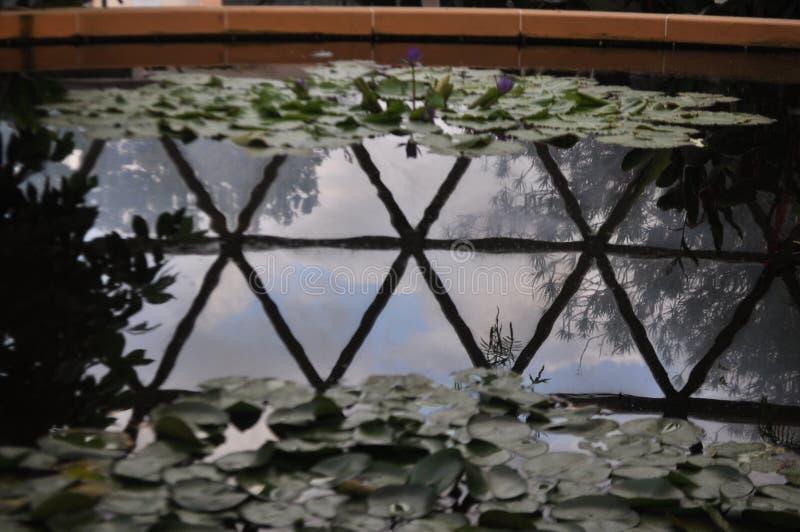 Pond reflection with frame stock photo. Image of pond - 172452180