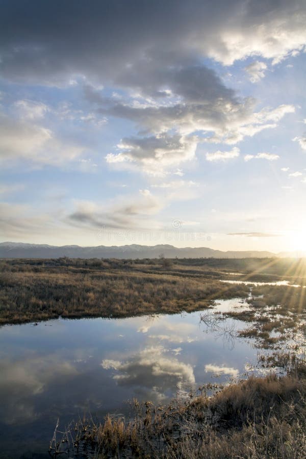 Pond with the Reflection of the Sky Stock Image - Image of alpine, pond ...