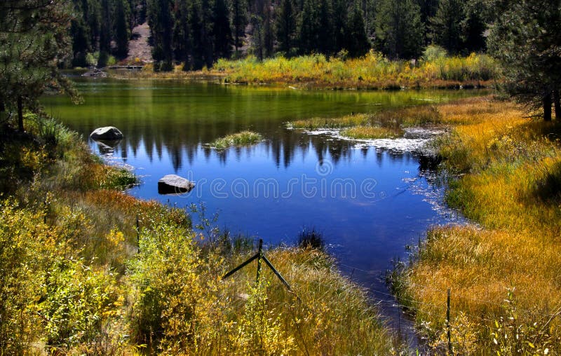 Pond and reflections stock image. Image of summer, ground - 21218103