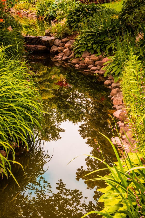 Pond in garden stock image. Image of garden, halifax - 188074053
