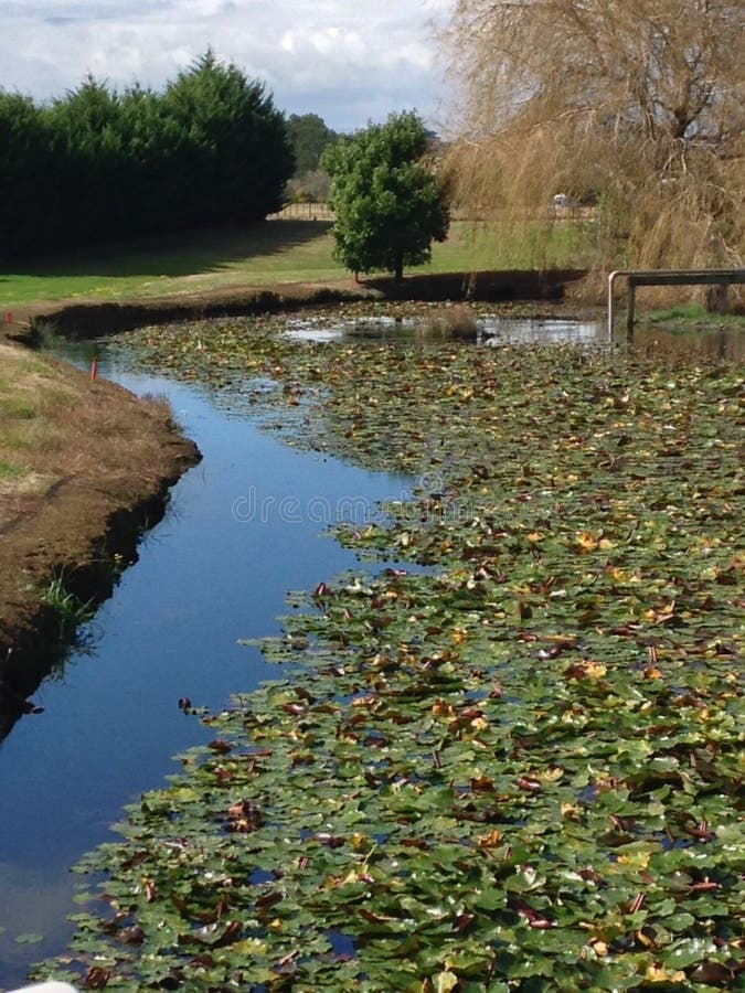 Pond with reflections stock photo. Image of reflection - 107942790