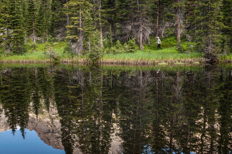 Pond reflections stock photo. Image of alone, nature - 66975804
