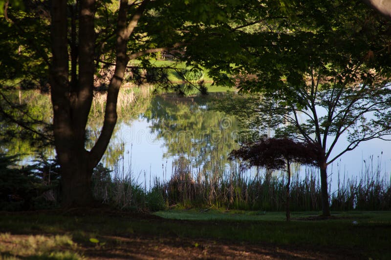 Dark Reflections at Ithaca College Stock Photo - Image of glade, dark: 156347074