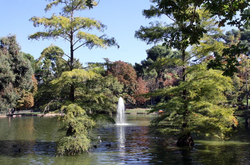 Pond in the Retiro Park, Madrid Editorial Photo - Image of retiro ...