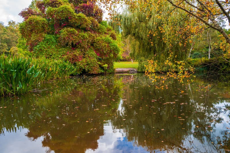 A Pond in a Park in Fall, London Stock Photo - Image of autumn, london ...