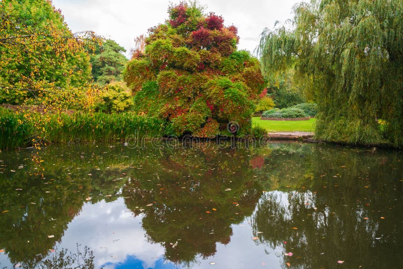 A Pond in a Park in Fall, London Stock Photo - Image of buck, brown ...