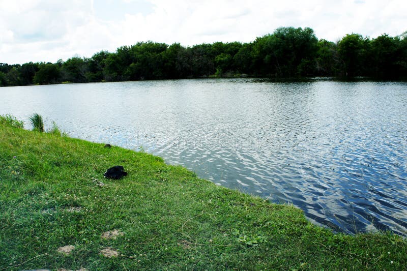 Pond in rural outback stock photo. Image of houses, rest - 143479078