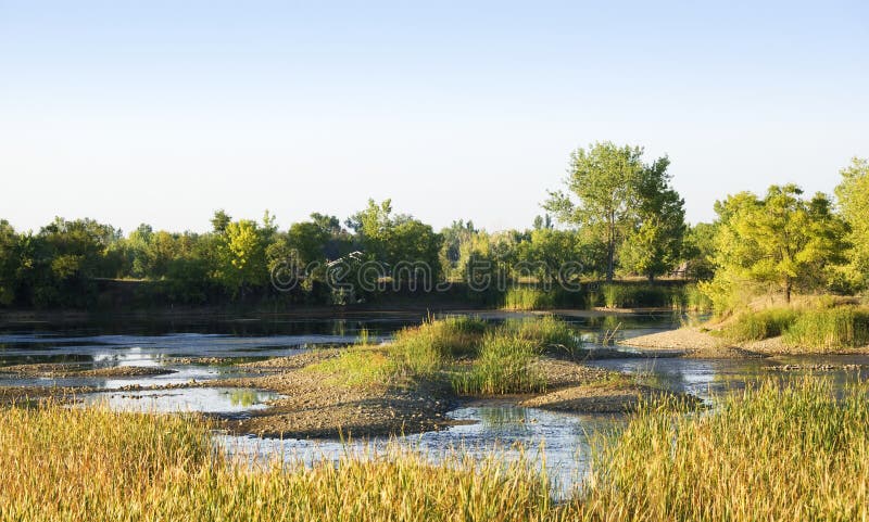 Prairie Pond with Grasses stock photo. Image of afternoon - 21551362