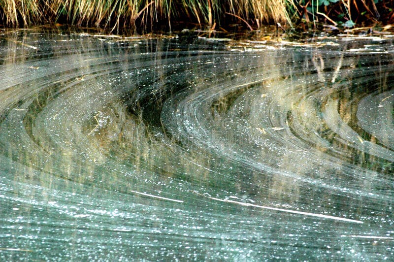 Pond scum stock photo. Image of still, reflection, green - 4335940