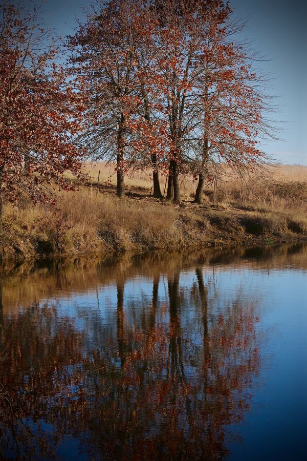 Pond Side stock image. Image of field, country, color - 62797329