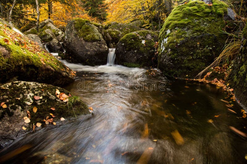 Pond with a Small Waterfall Flowing into it in the Fall with Fallen ...