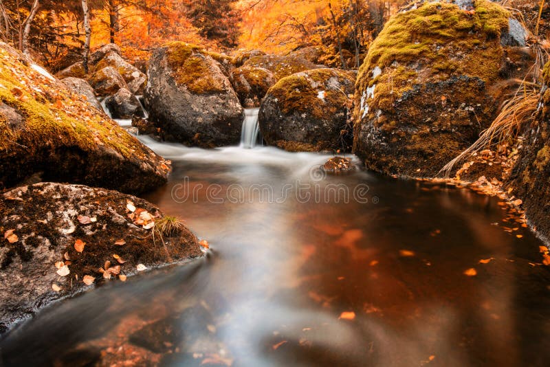 Pond with a Small Waterfall Flowing into it in the Fall with Fallen ...