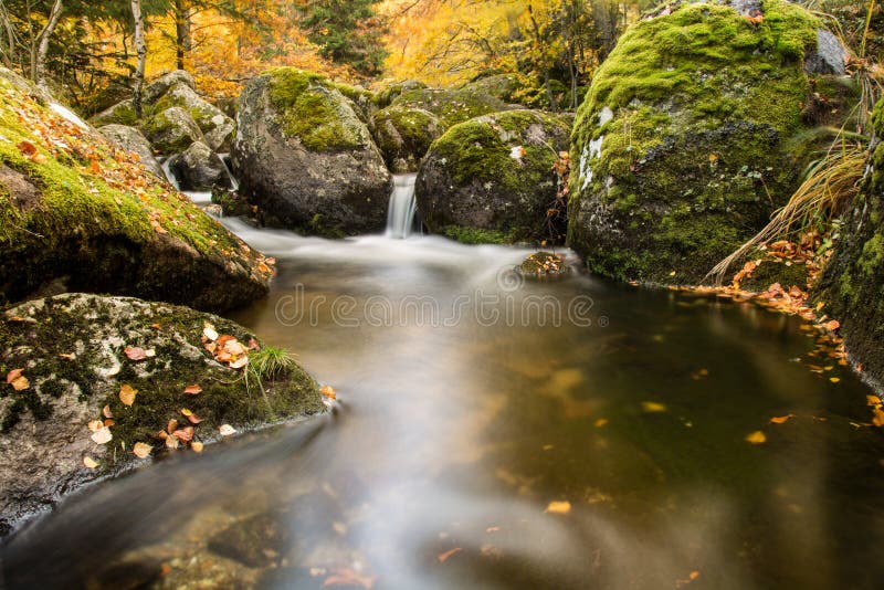 Pond with a Small Waterfall Flowing into it in the Fall with Fallen ...