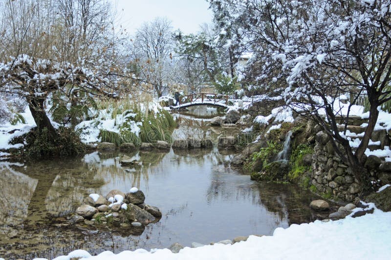 Pond in snowy park stock photo. Image of small, park - 74603176