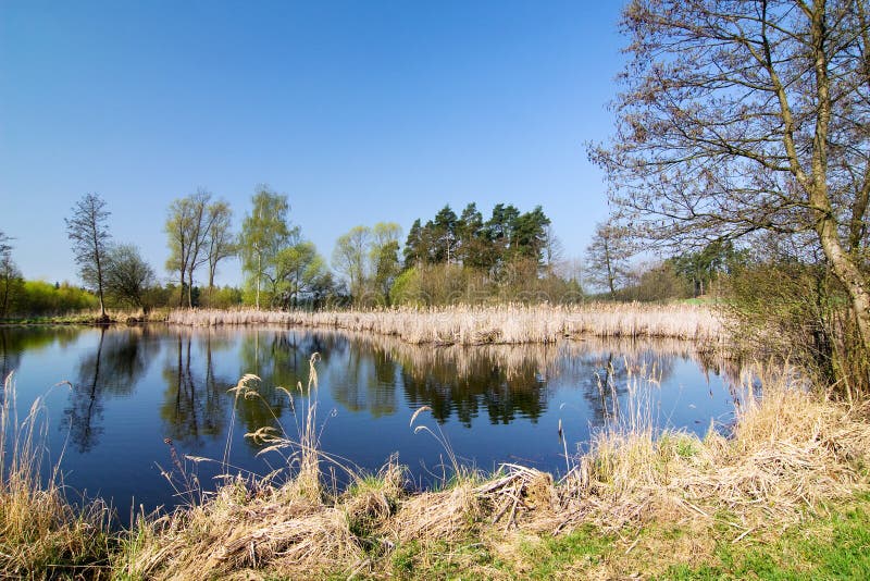 Pond in the Spring Countryside Stock Photo - Image of coastline, plant ...