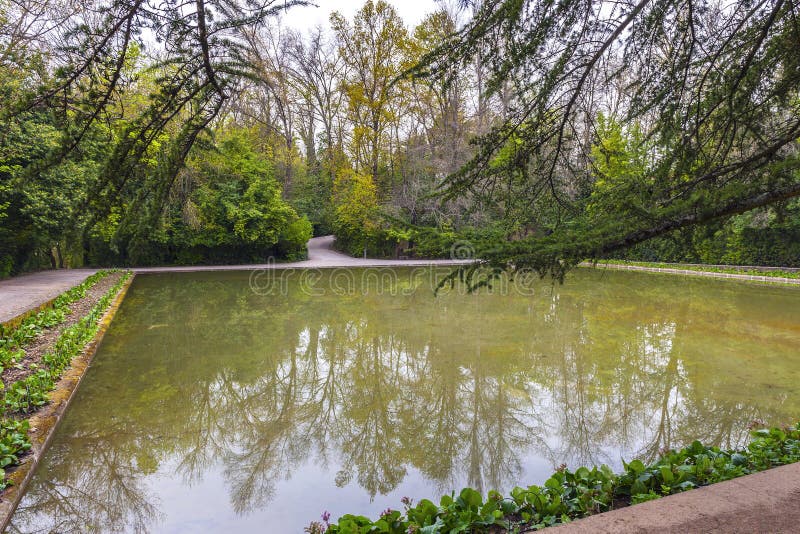 Pond in spring park stock photo. Image of flora, surface - 157888154