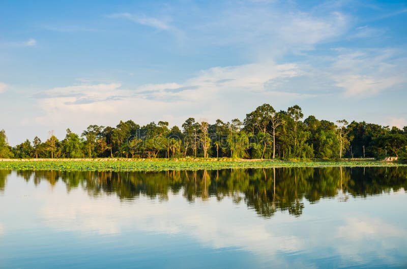 Pond in spring stock image. Image of lake, rural, green - 40958695