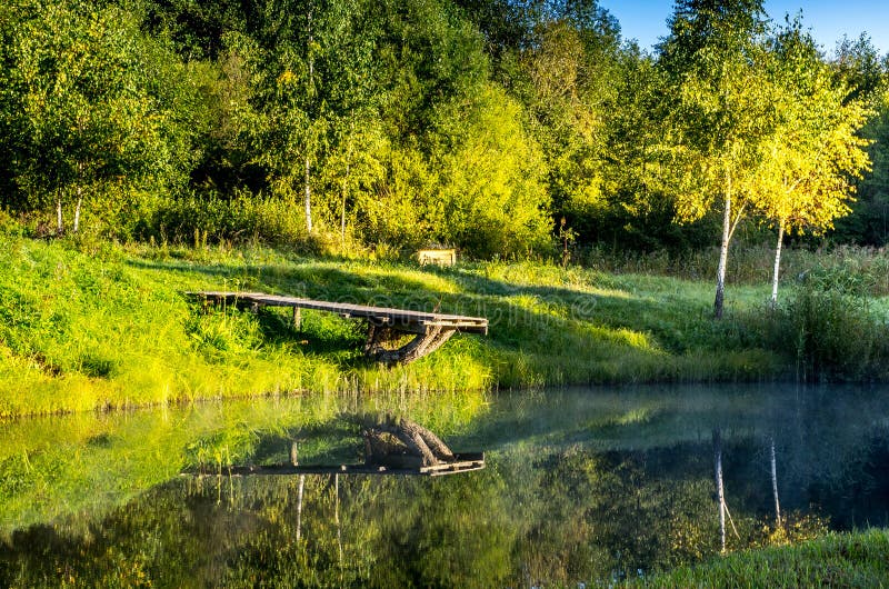 Pond in summer stock image. Image of landscape, outdoor - 107172877