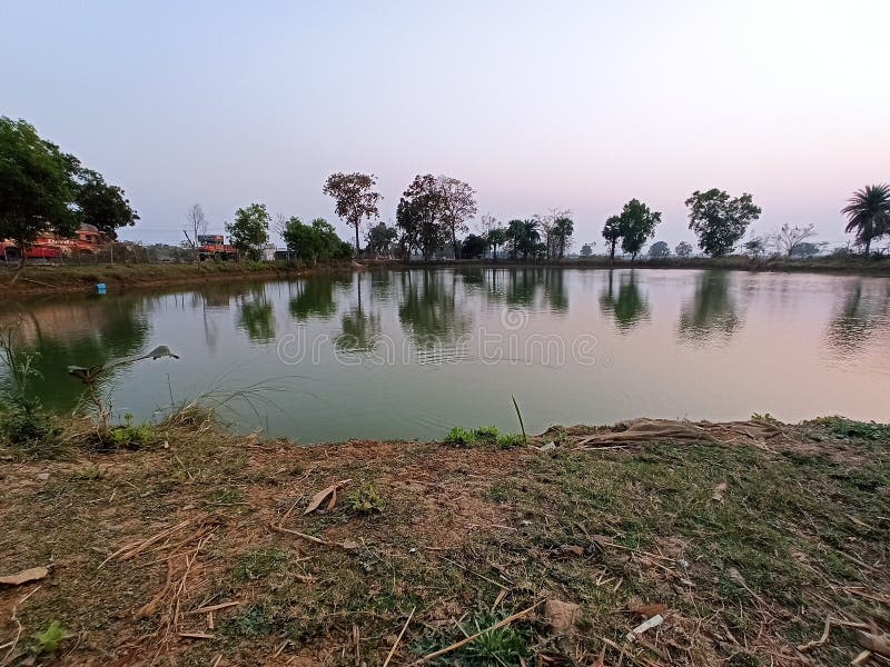 Pond on Sun Set Time Nature Effect Stock Photo - Image of nature ...