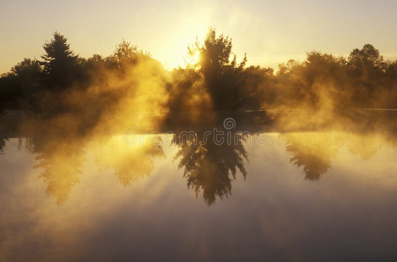 Pond at Sunrise with Morning Mist Stock Image - Image of serene ...
