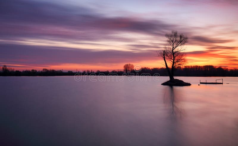 Pond at Sunset with Silhouette Tree, Water Landscape Stock Photo ...
