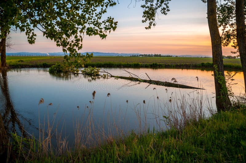 Pond at sunset stock photo. Image of landscaping, plant - 42308418
